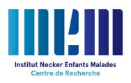 INEM - Site internet maladies rares de l'hôpital Necker